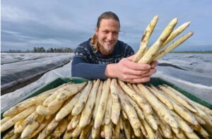 Spargelzeit - Why Germany is Obsessed with White Asparagus - German Jax